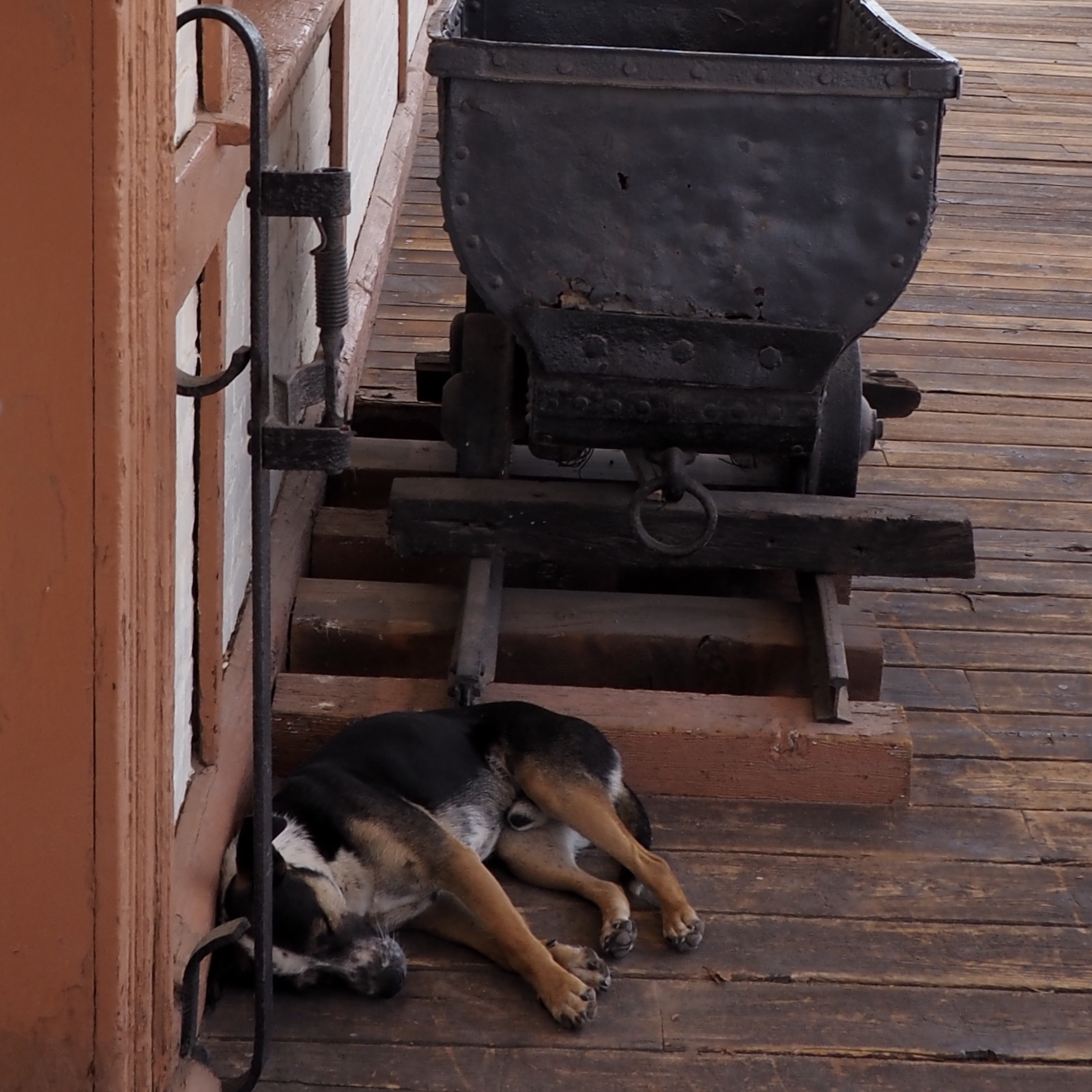 Mining Towns, the Eiffel Church, and a Goat Farm – Sorry You Couldn't ...